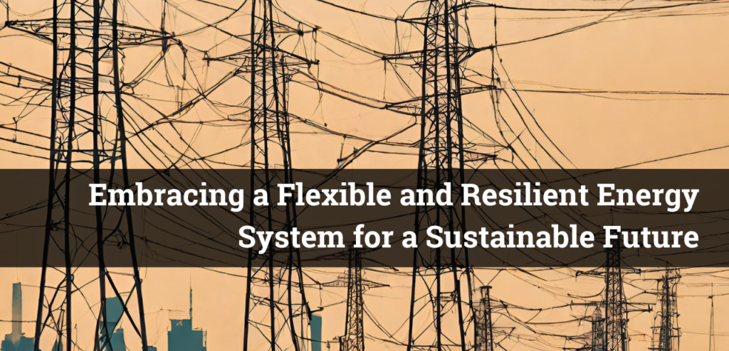 Embracing a Flexible and Resilient Energy System for a Sustainable ...